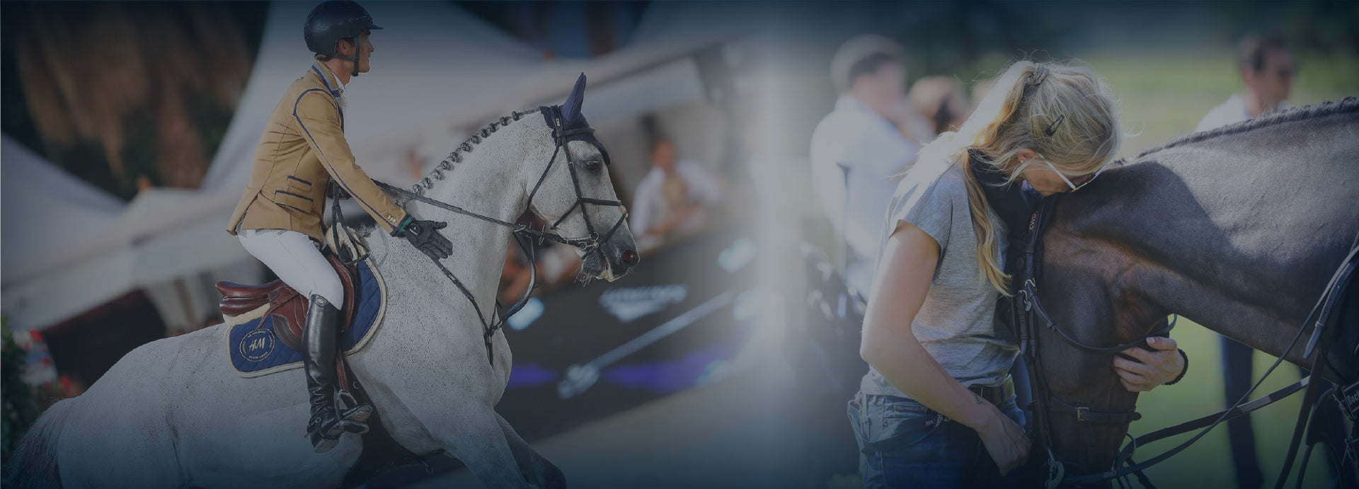 Horse Supplements & Care Products from Cavalor Direct